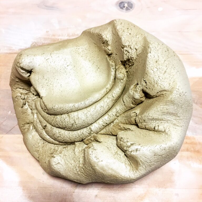 Processing wild clay – Anja Slapnicar