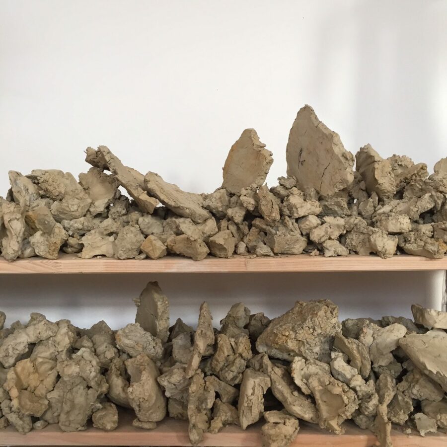 Processing wild clay – Anja Slapnicar