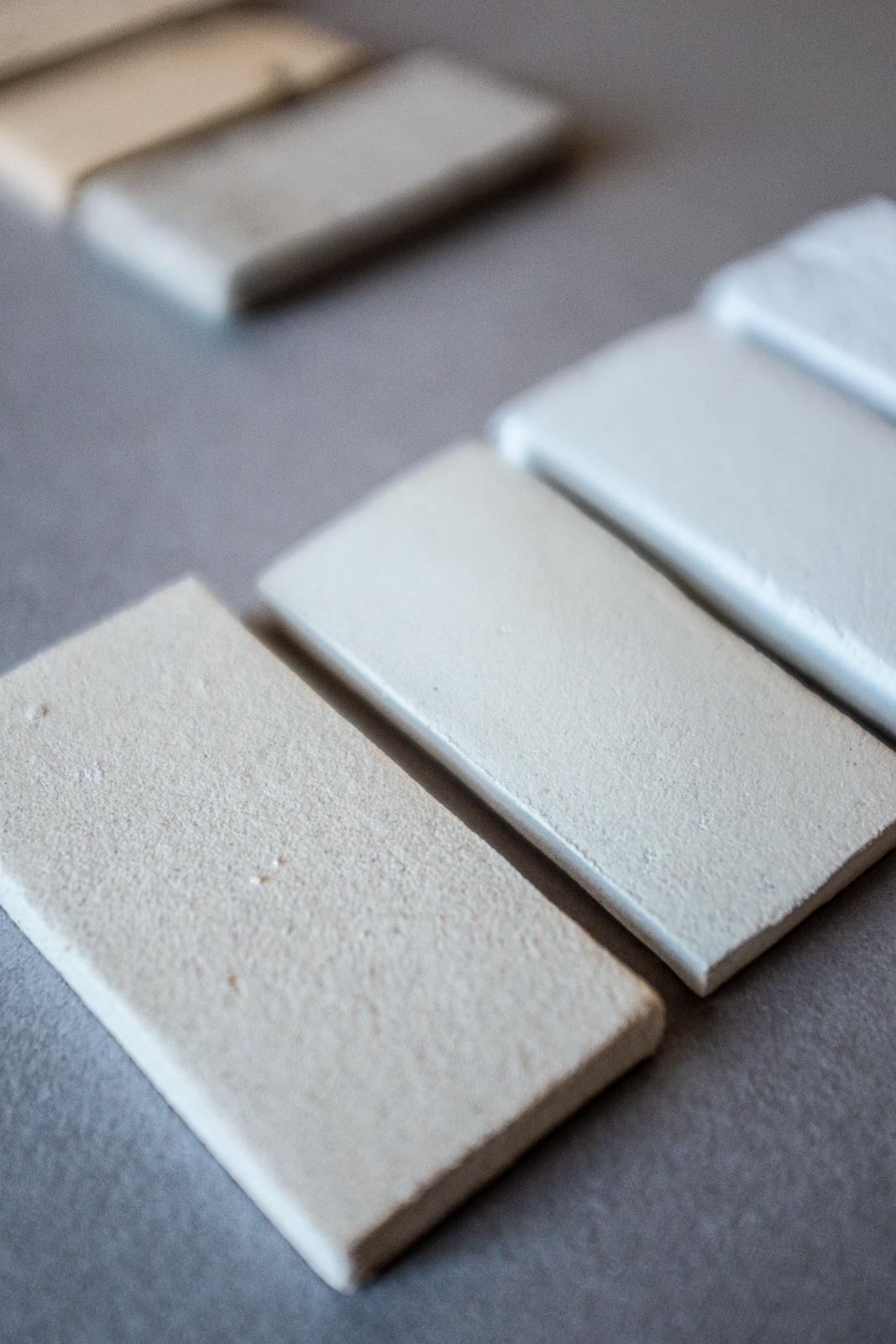 WILD PORCELAIN – Anja Slapnicar